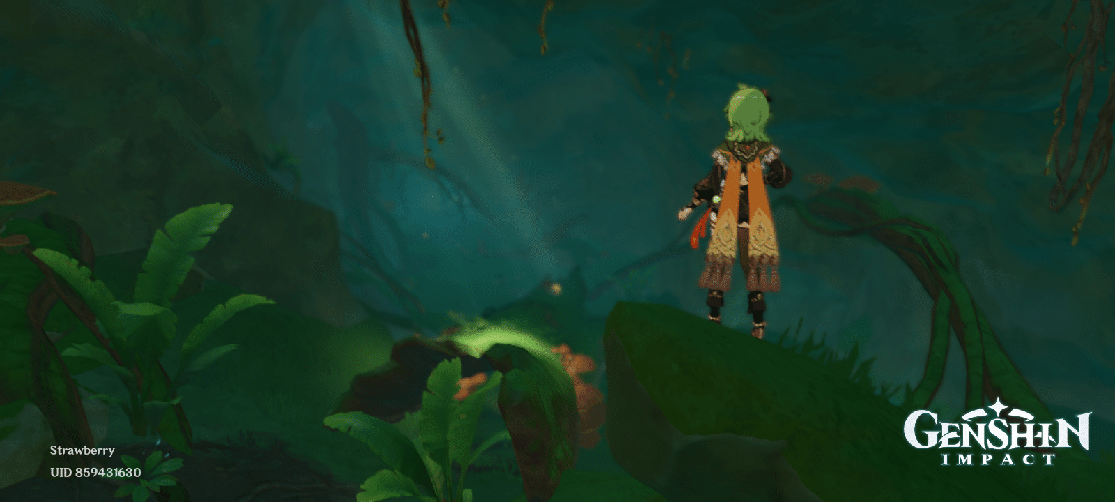 Genshin Journal - Day 24 Genshin Impact | HoYoLAB