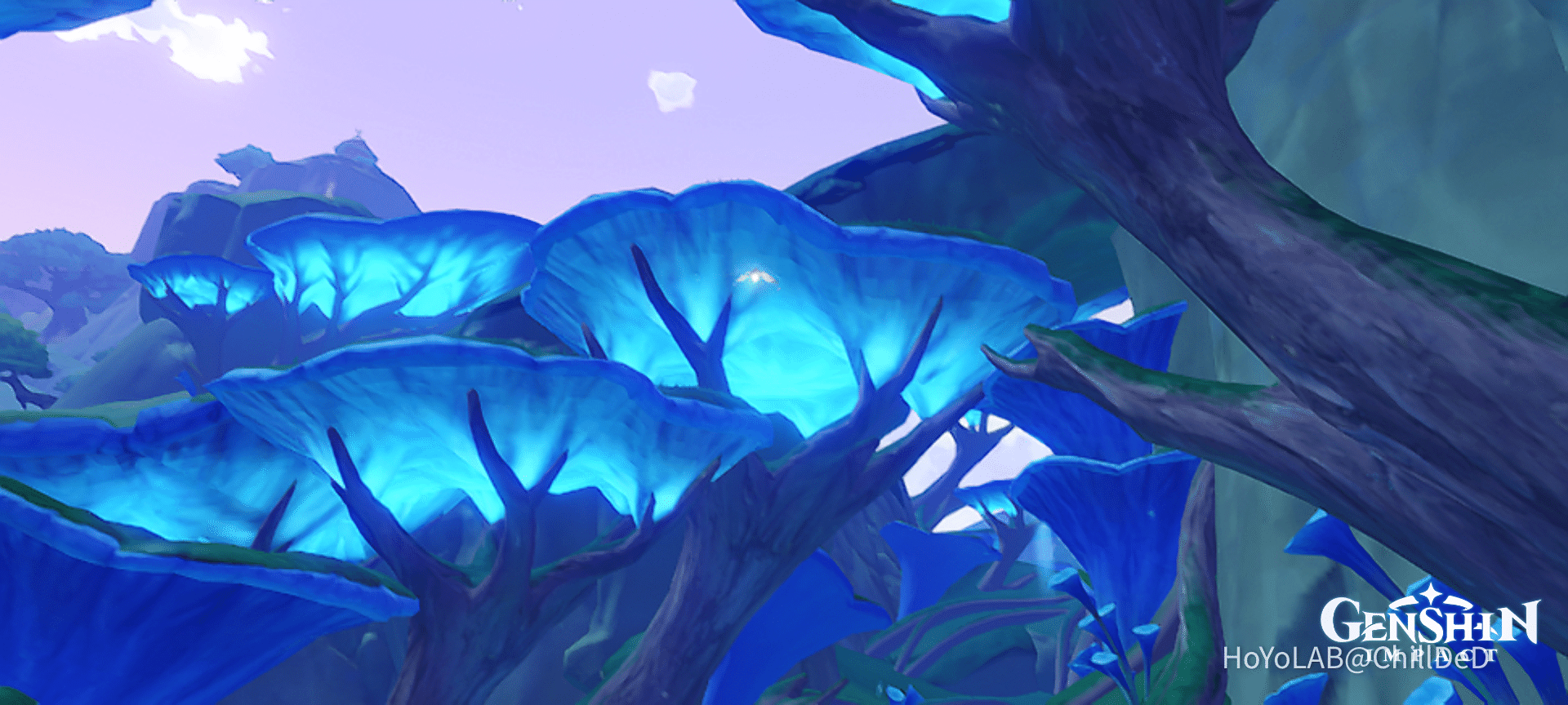 Is this the best memento in Sumeru Fungi Forest? Genshin Impact | HoYoLAB