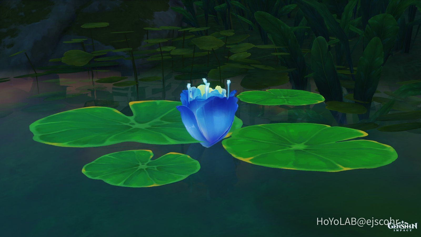 Amazing Plants in Sumeru Genshin Impact | HoYoLAB