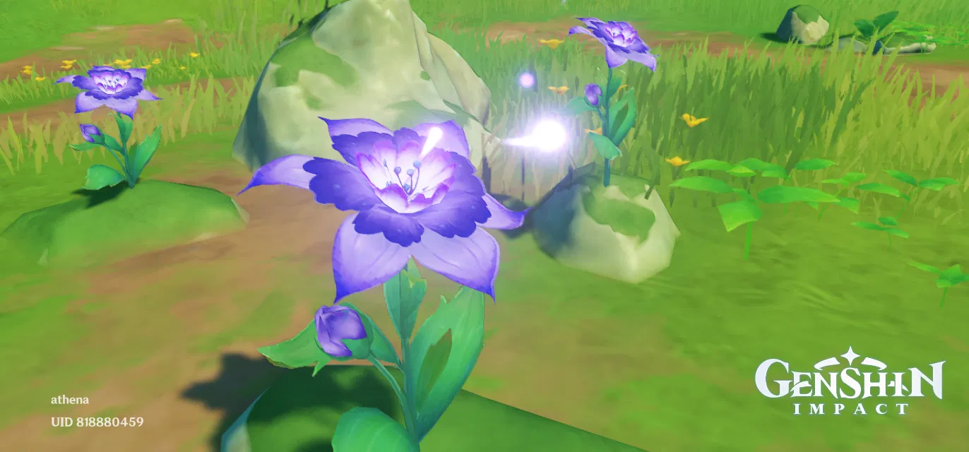 Sumeru's Special Creatures: First step into Sumeru Genshin Impact | HoYoLAB