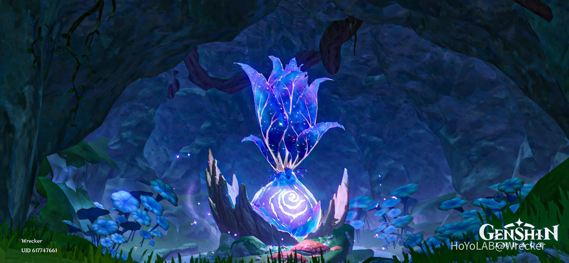 The tree of dreams Genshin Impact | HoYoLAB