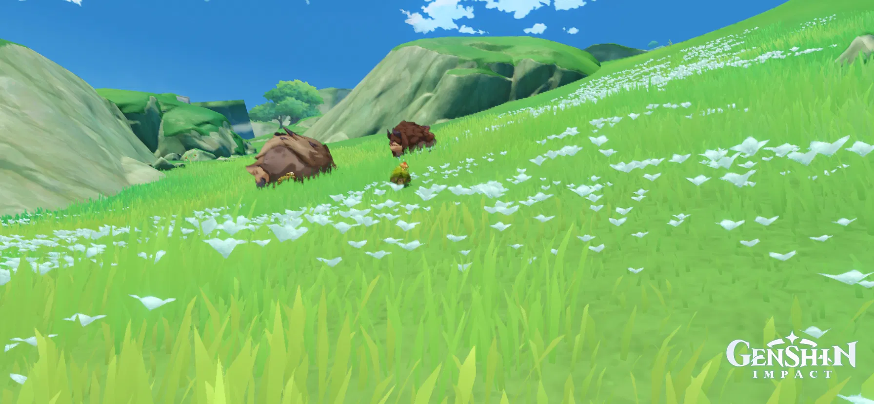 Sumeru animals !! Genshin Impact | HoYoLAB