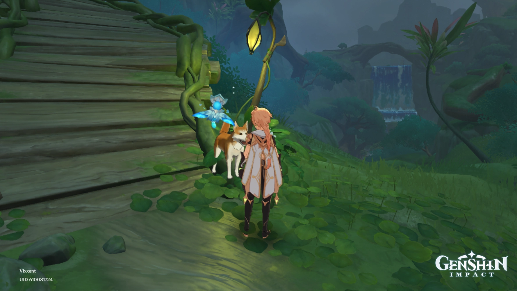 Aether petting dog in Sumeru, Sumeru Adventure Diary - August 29 ...
