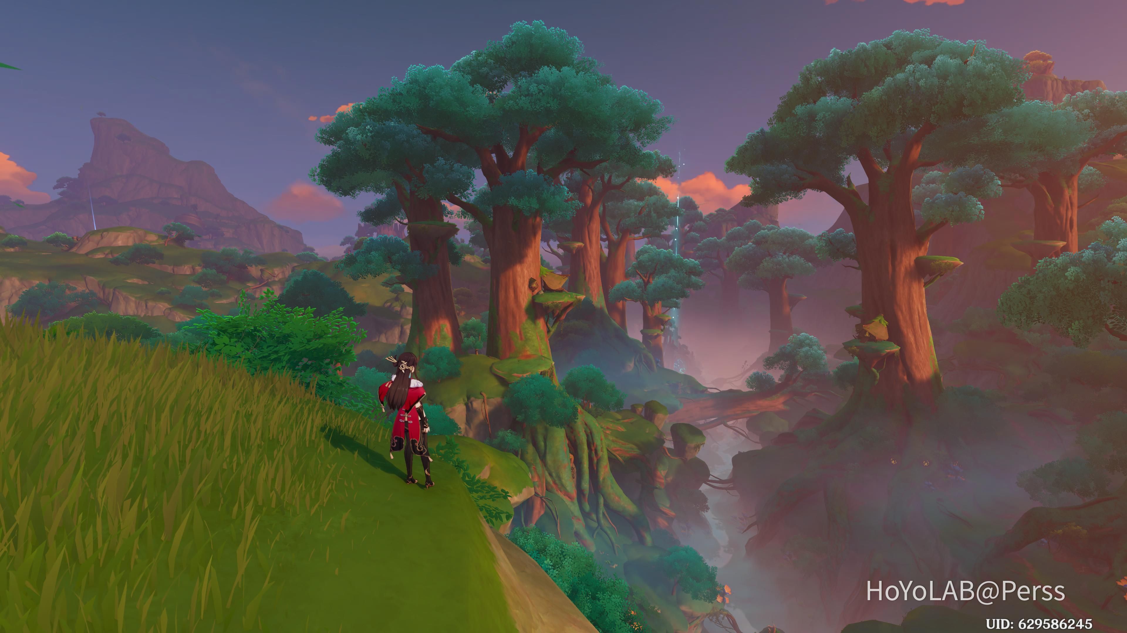 Sumeru Adventure Diary - August 28 Genshin Impact | HoYoLAB