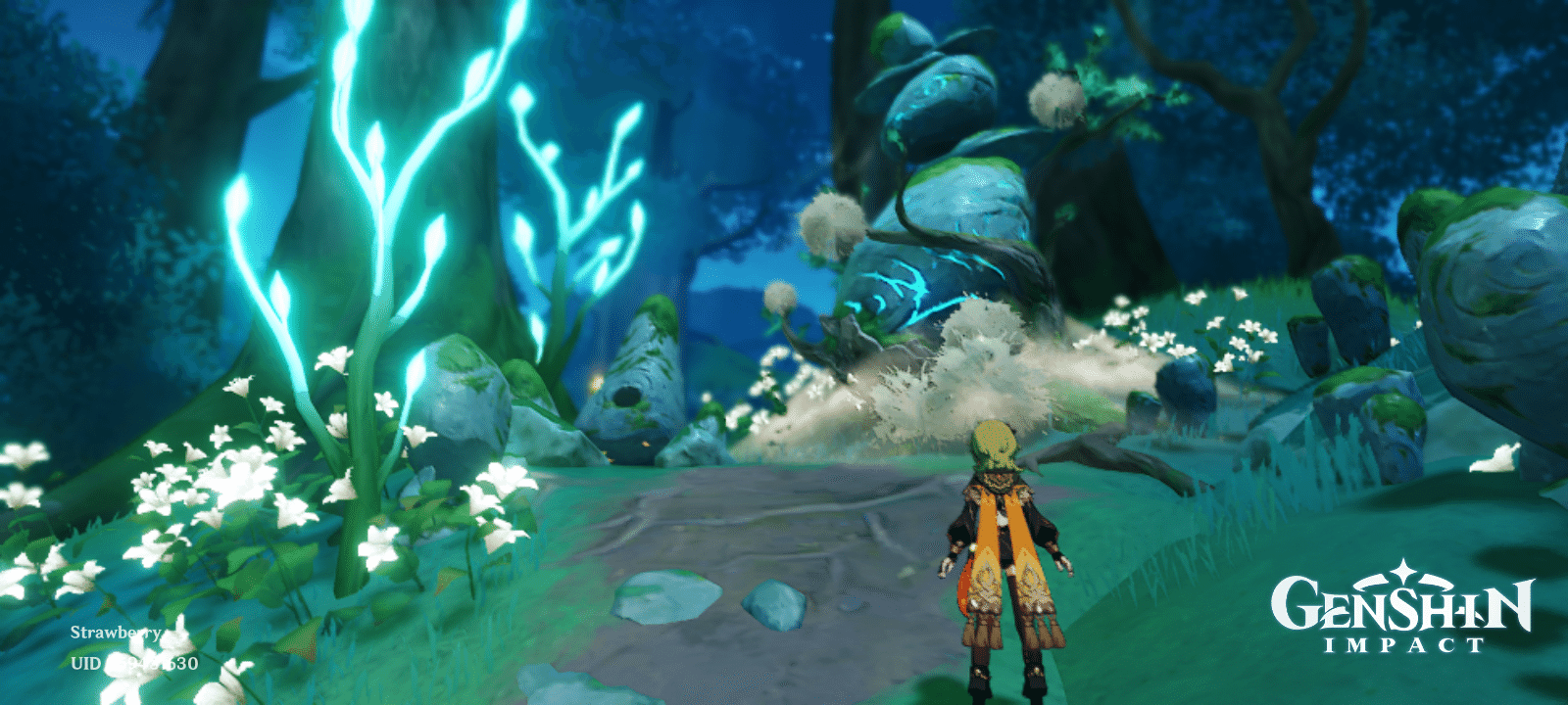 Genshin Journal - Day 25 Genshin Impact | HoYoLAB