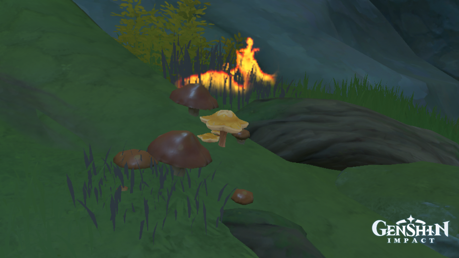 Starshroom's Genshin Impact | HoYoLAB