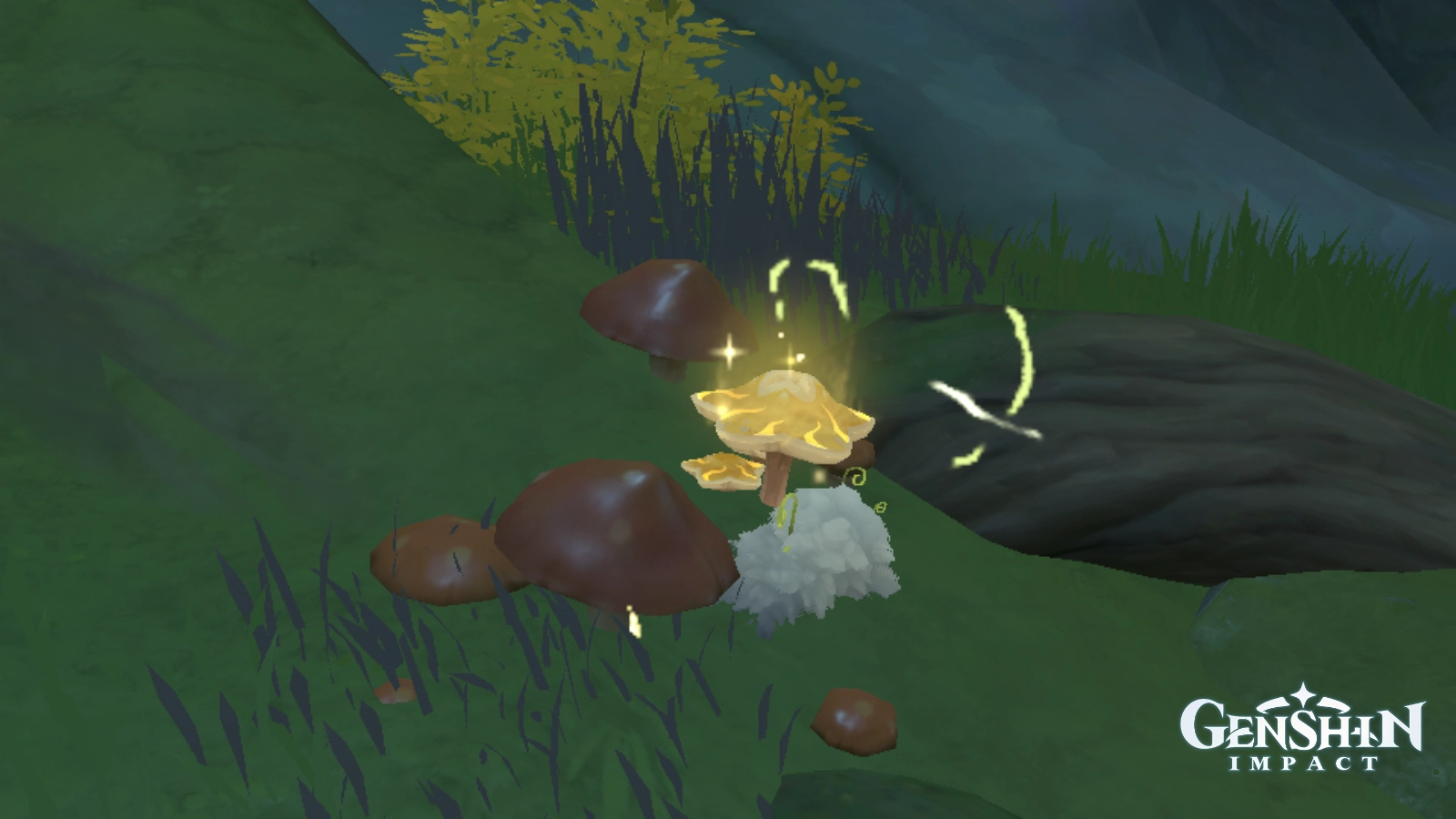 Starshroom's Genshin Impact | HoYoLAB