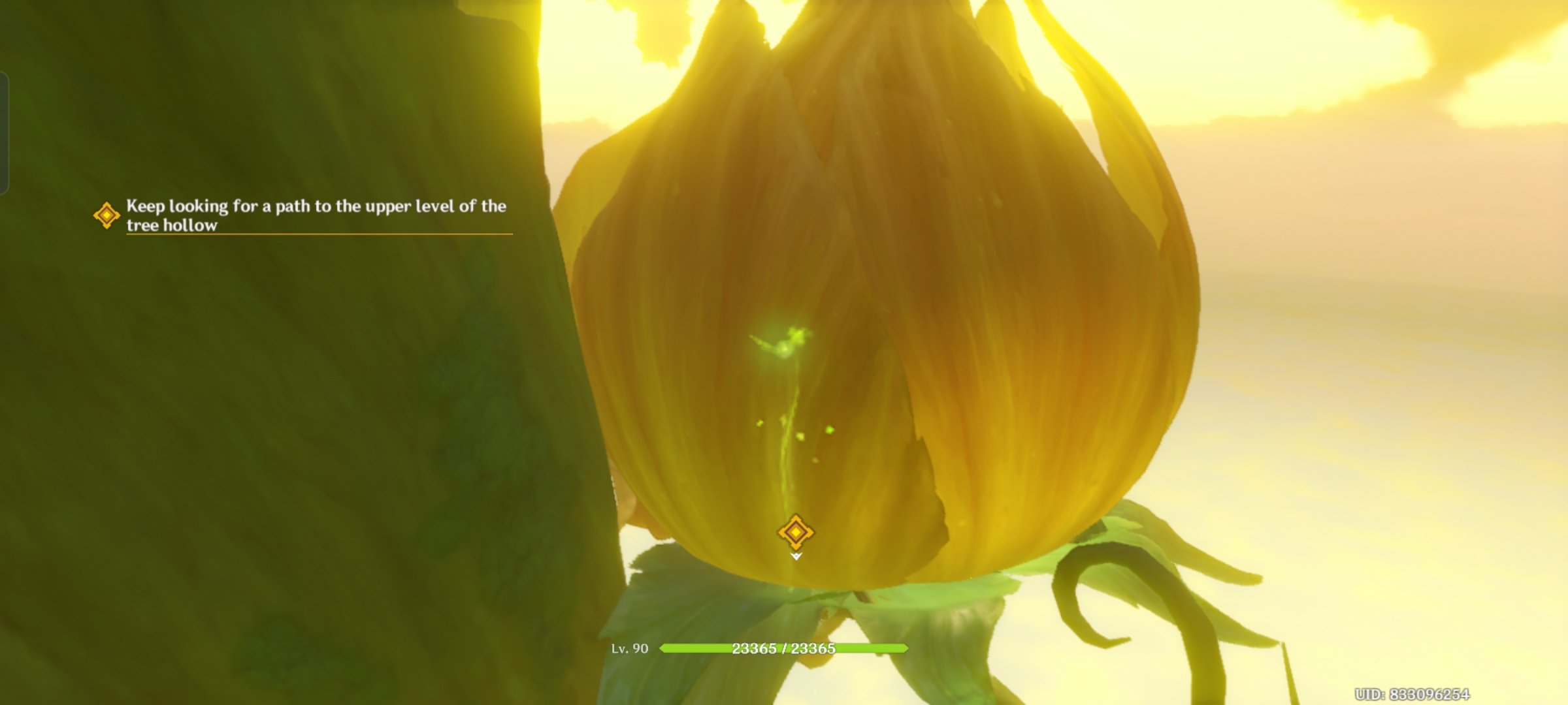 Flower Genshin Impact | HoYoLAB