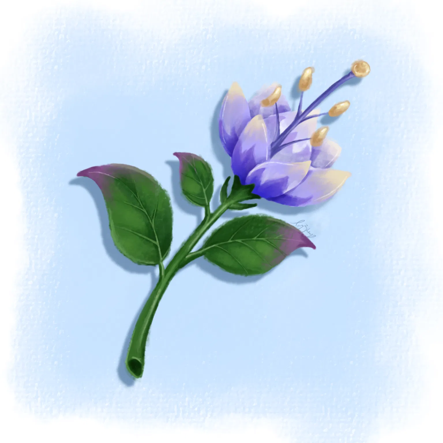 Sumeru flowers r so pretty