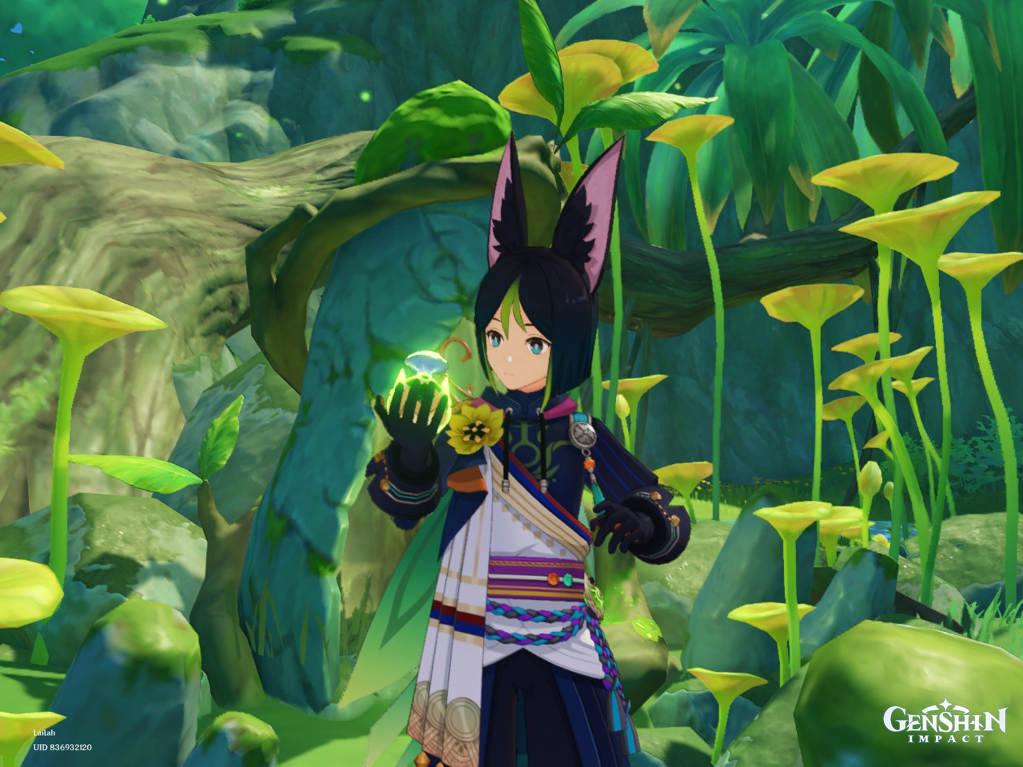 Today in sumeru quest - [30 August] Genshin Impact | HoYoLAB