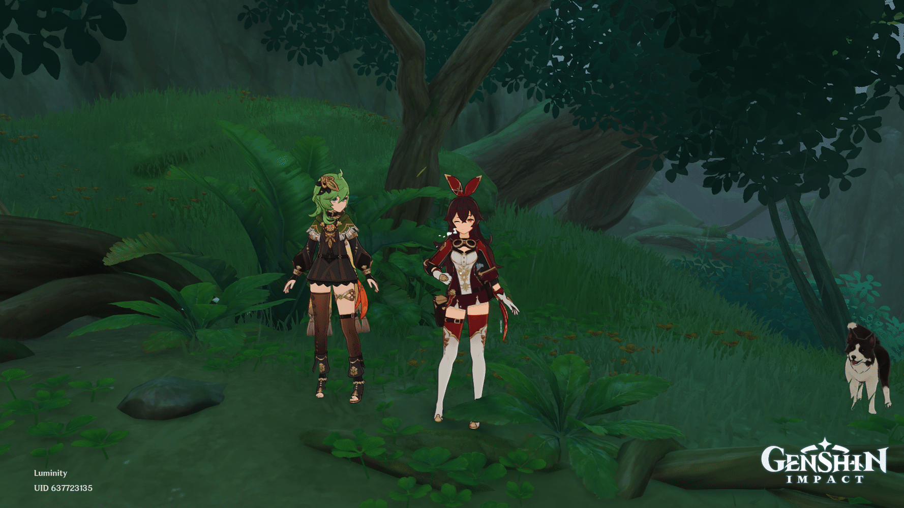 Sumeru Adventure Diary: Amber and Collei reunite Genshin Impact | HoYoLAB