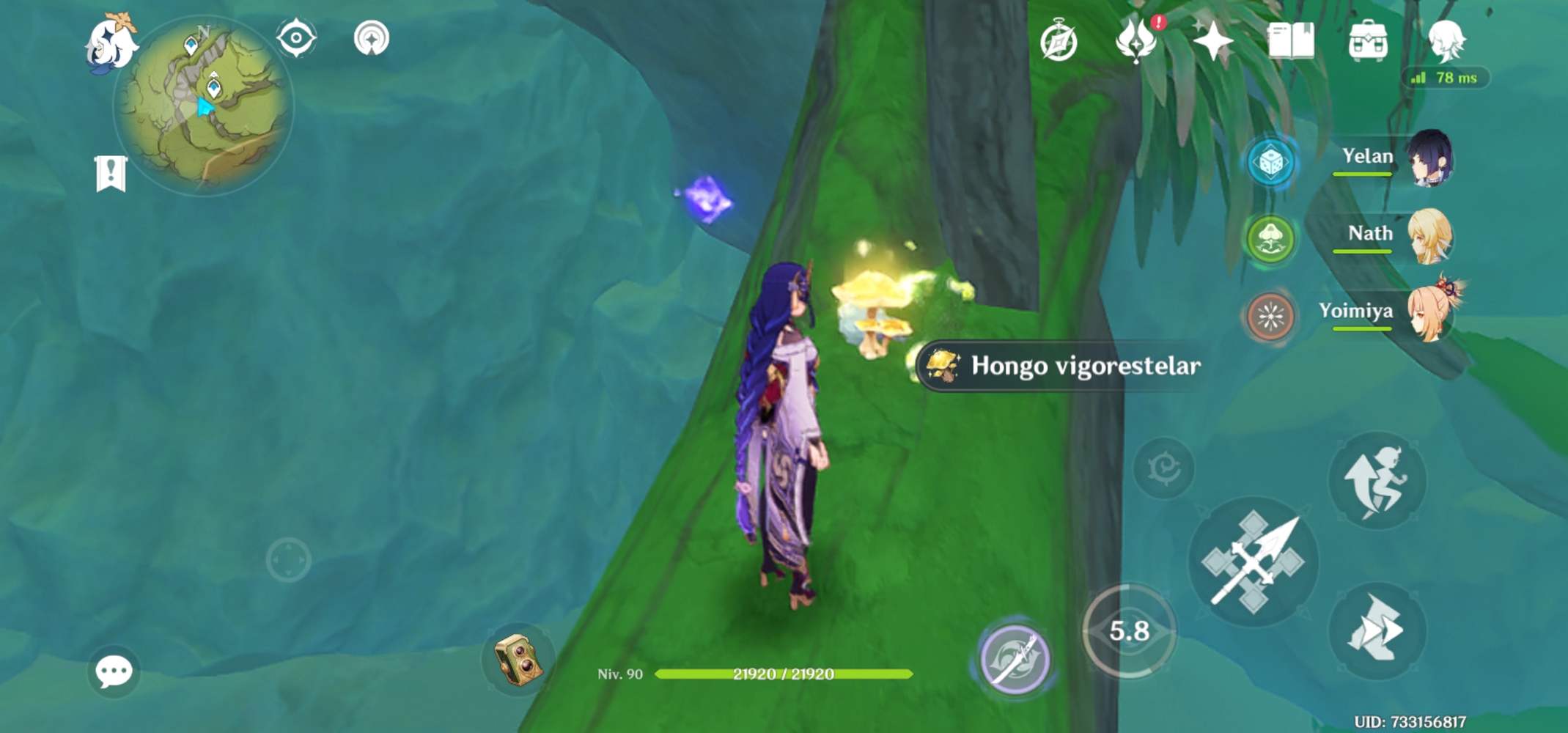 Hongo vigorestelar y chamuscado Genshin Impact | HoYoLAB