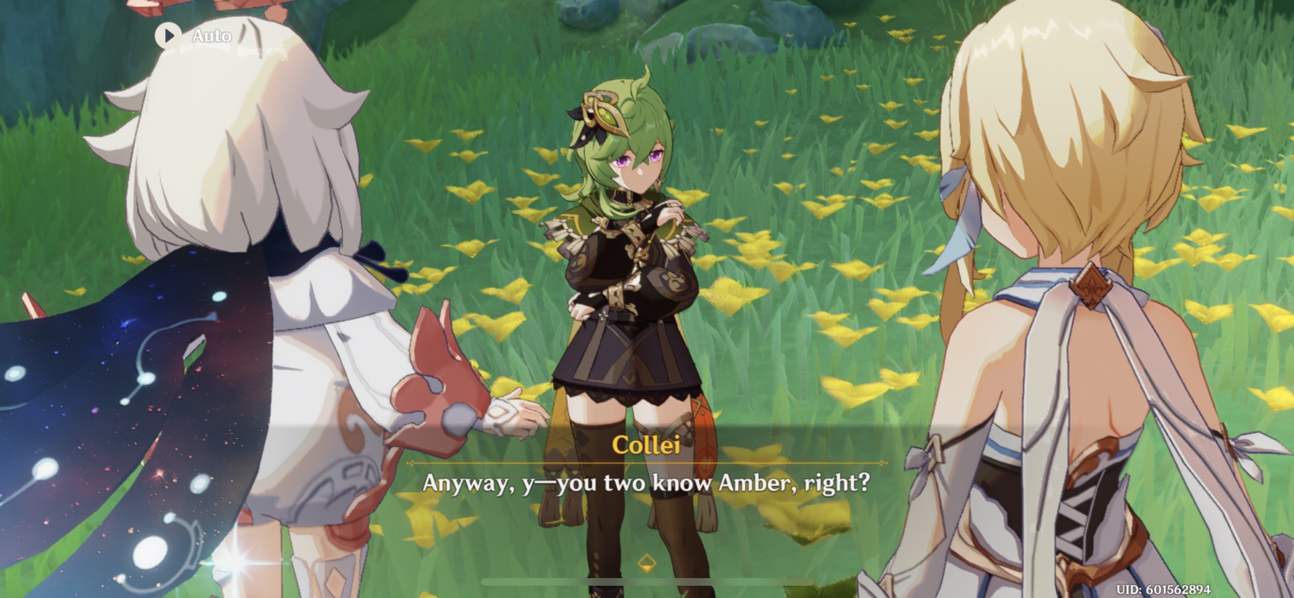 I hope we get a Collei / Amber event one day to experience Collei ...