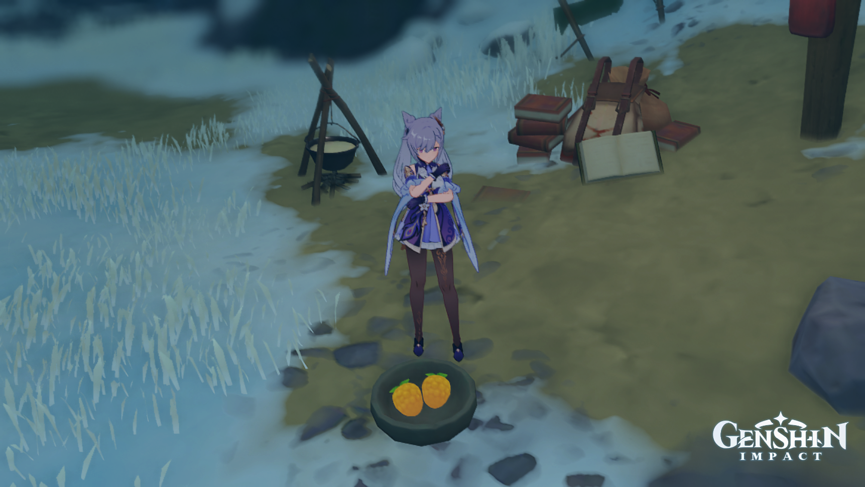 Fox Feeding! Genshin Impact | HoYoLAB