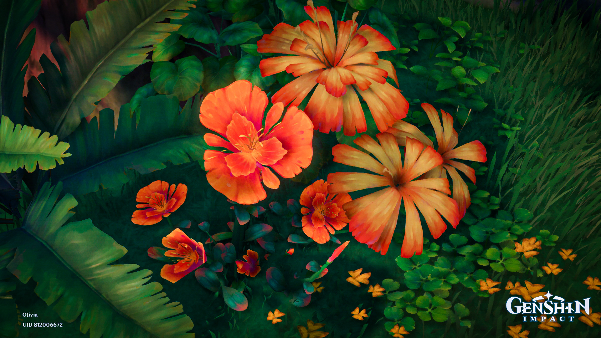 SUMERU FLORA Genshin Impact | HoYoLAB