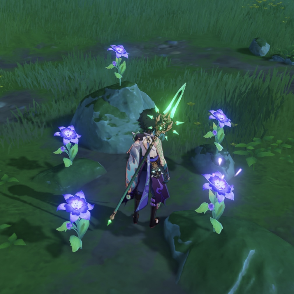 Strange Sumeru Rose puzzle (?) Genshin Impact | HoYoLAB