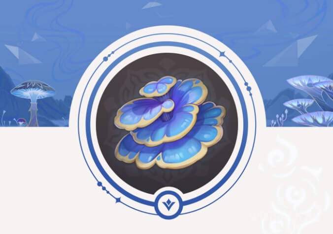 🌱Real life Sumeru local specialties 🌱 Genshin Impact | HoYoLAB