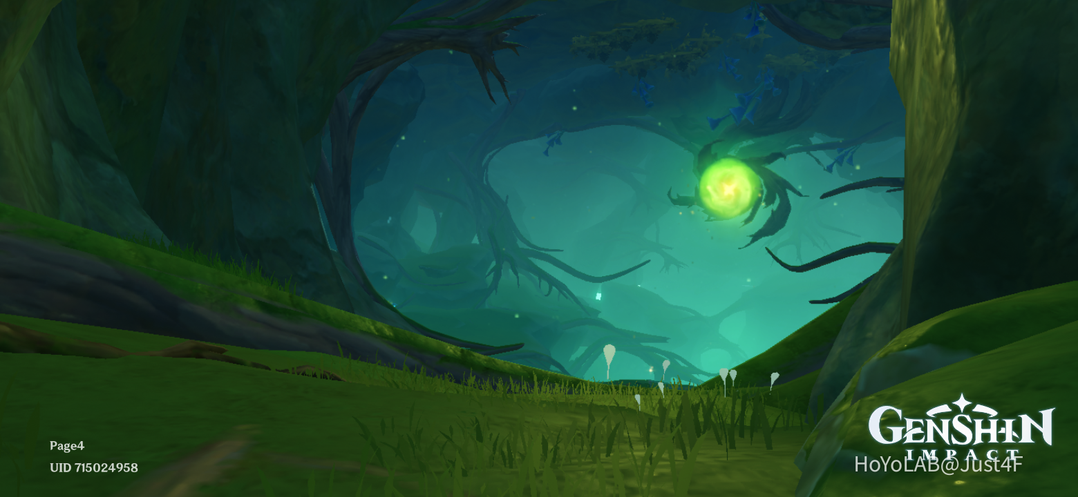 big seed Genshin Impact | HoYoLAB