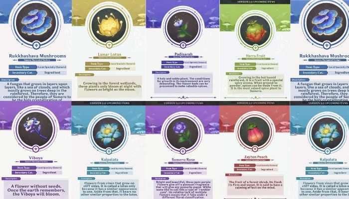 ALL SUMERU FRUITS AND FLOWERS Genshin Impact | HoYoLAB