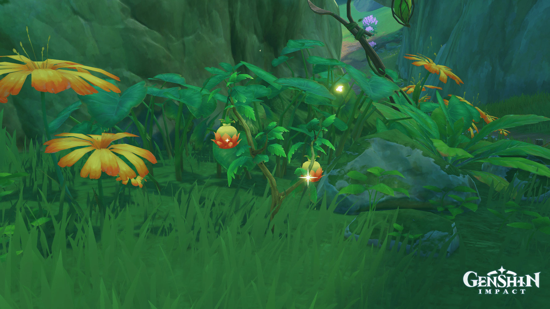 Experiencing the Life of being a forest ranger. (Topic ID: 93387 ...