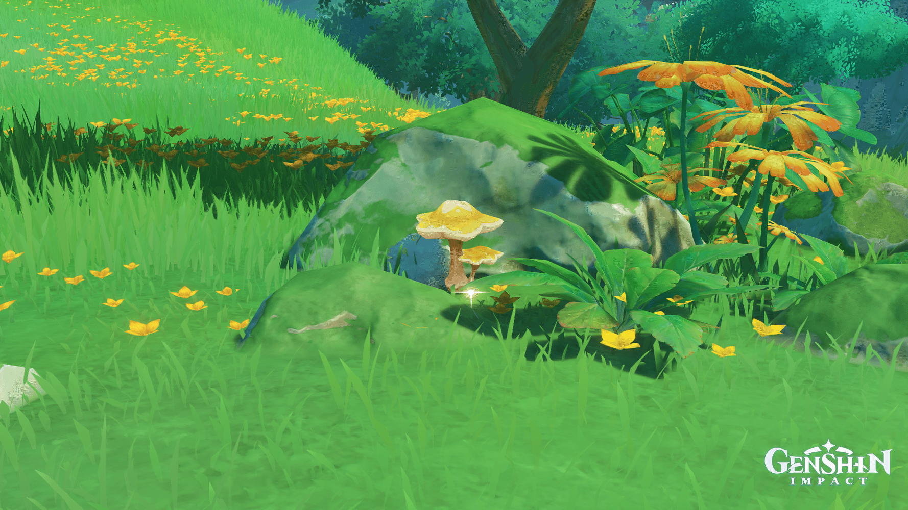 Experiencing the Life of being a forest ranger. (Topic ID: 93387 ...