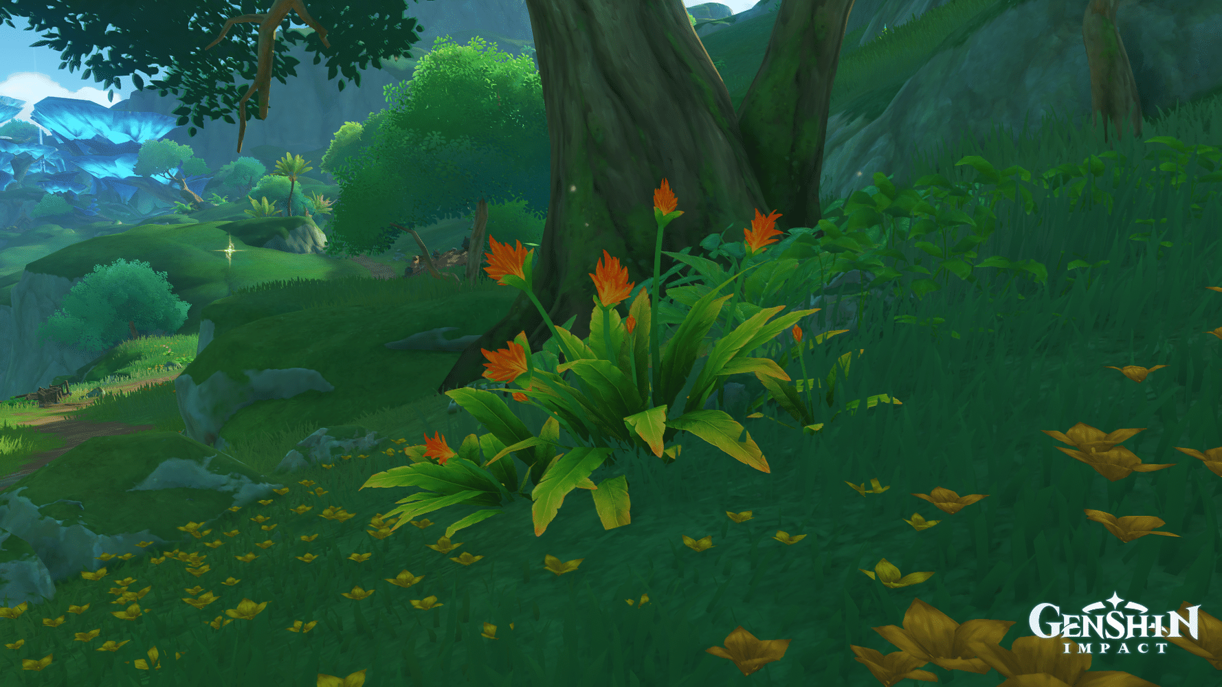 Experiencing the Life of being a forest ranger. (Topic ID: 93387 ...