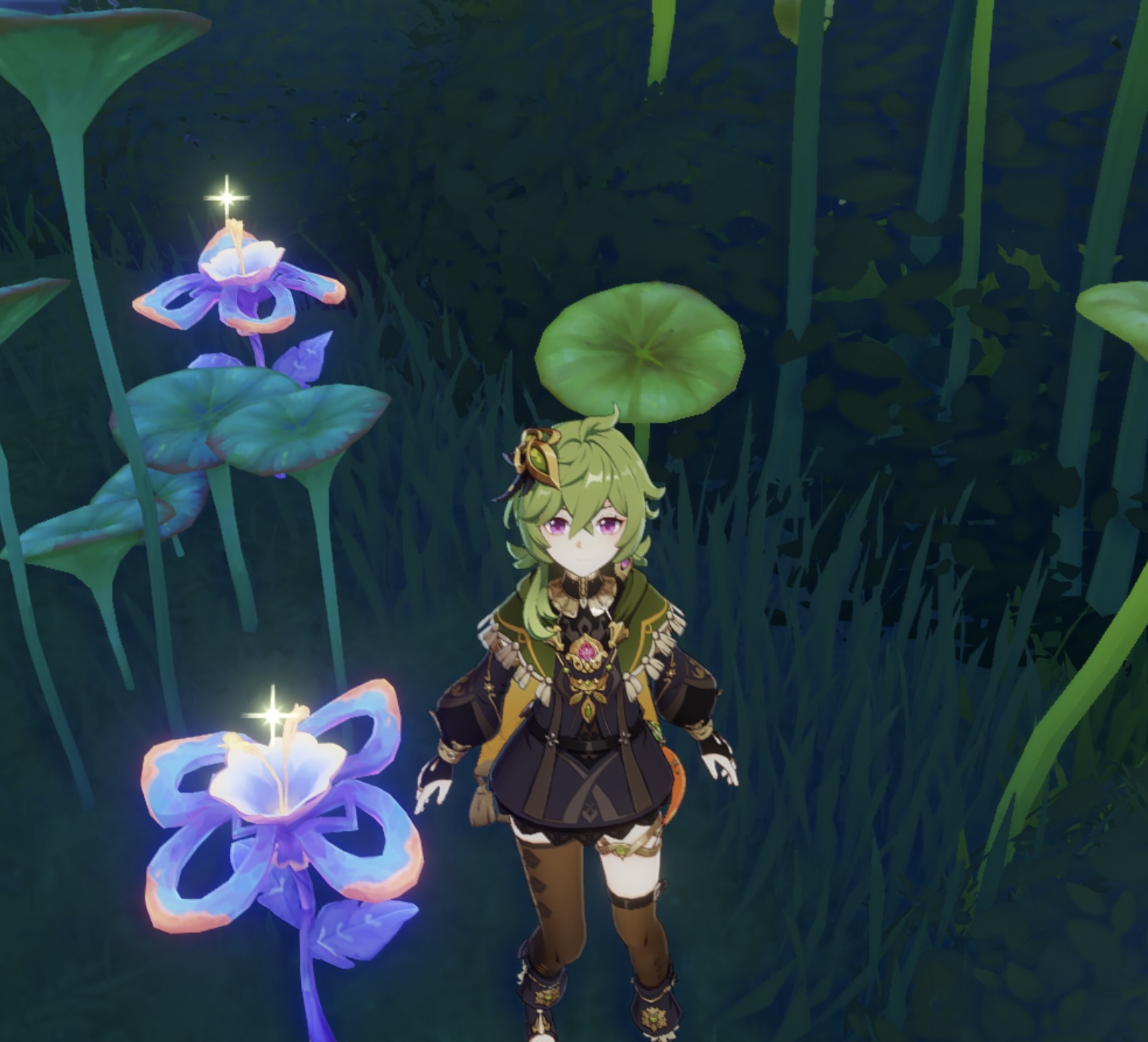 Viparyas are so pretty