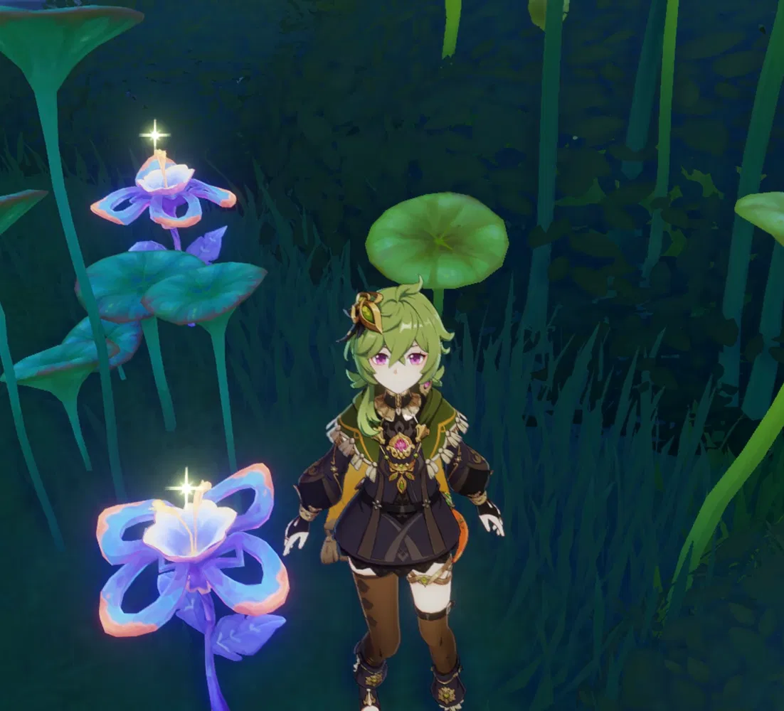 Viparyas are so pretty