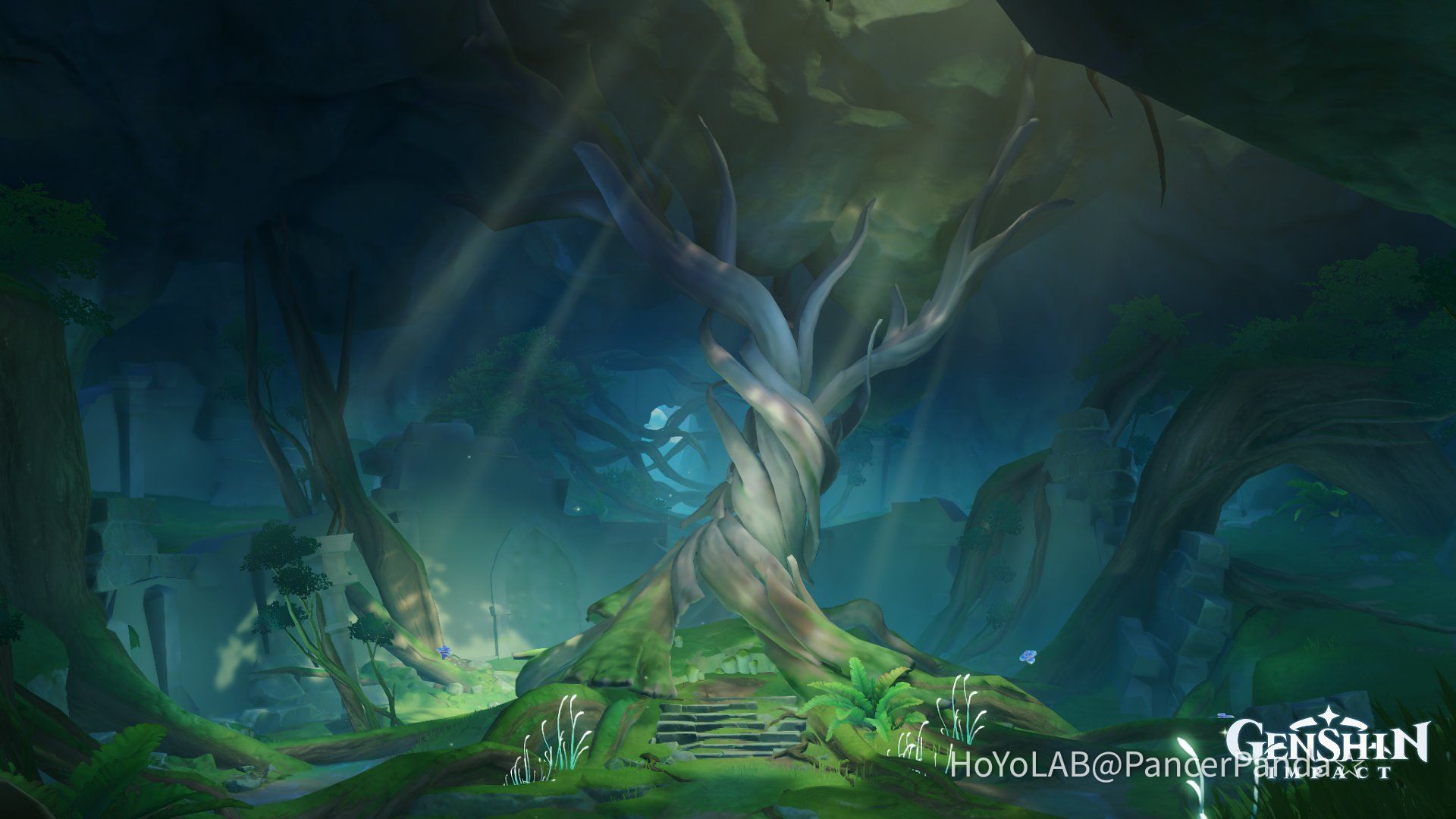 Sumeru's Special Creatures | Genshin Impact | HoYoLAB