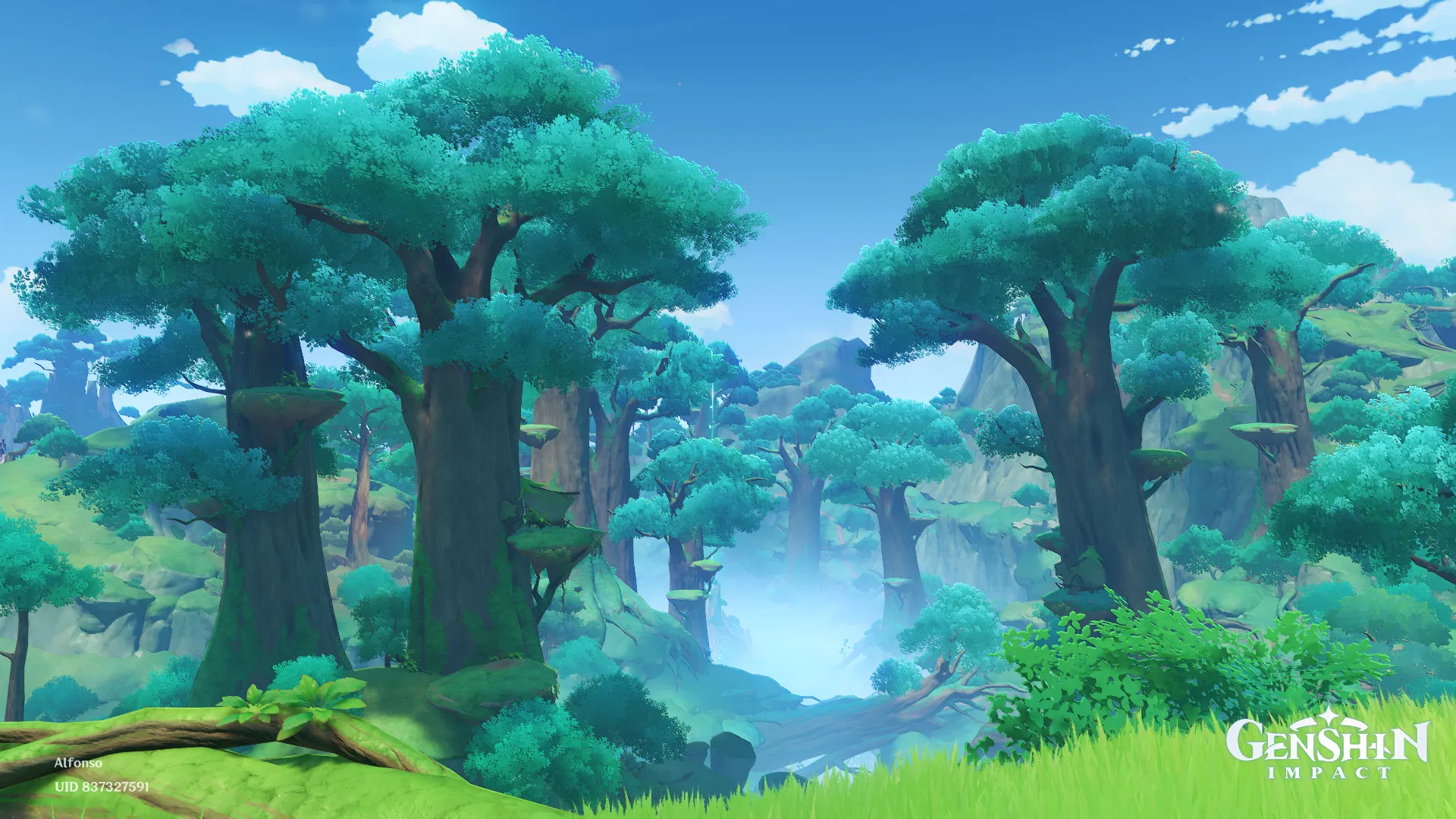 Big Trees Genshin Impact | HoYoLAB