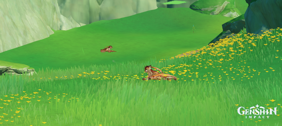 Tiger in Sumeru Genshin Impact | HoYoLAB