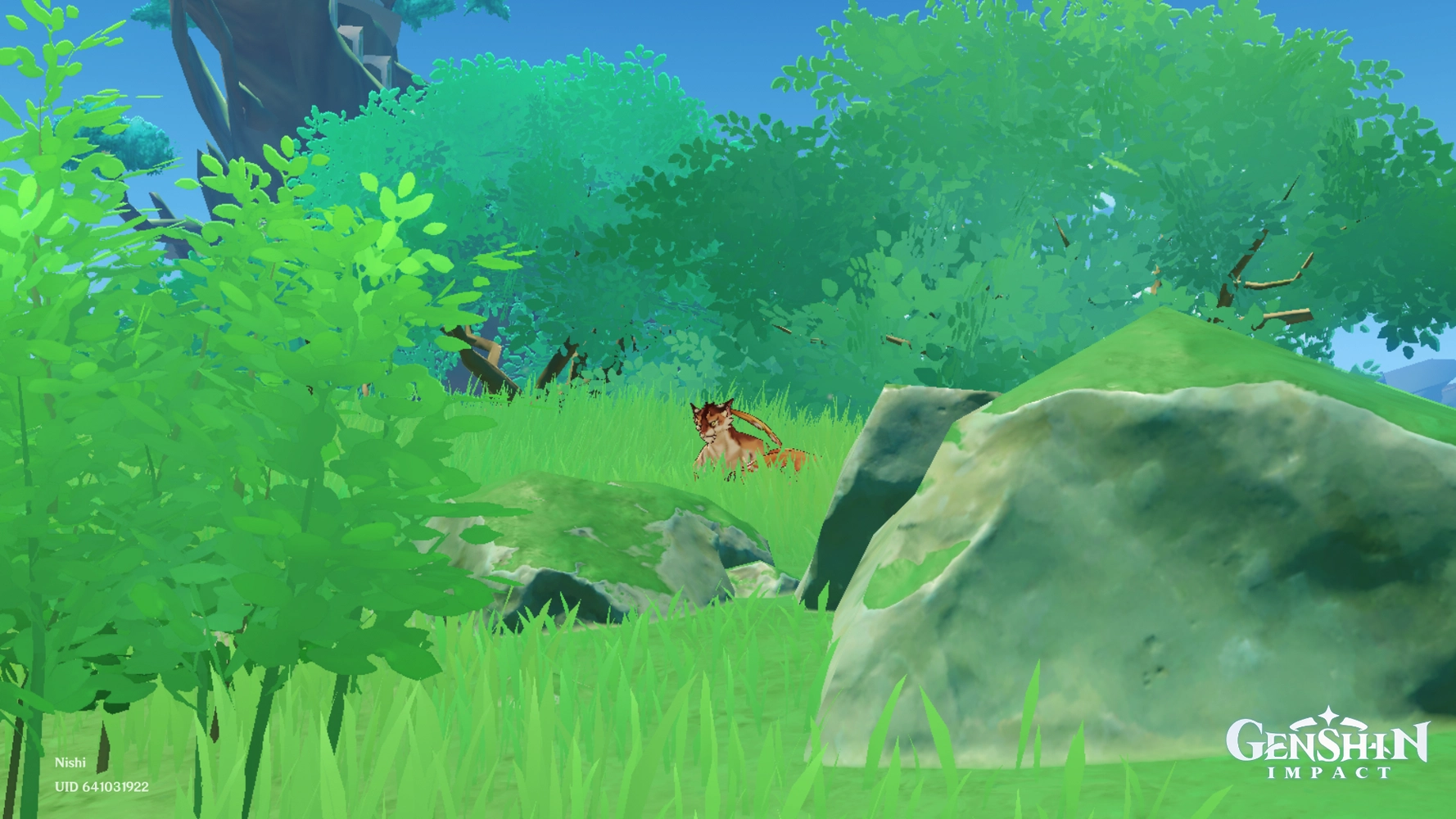 Sumeru's animals are amazing! Genshin Impact | HoYoLAB