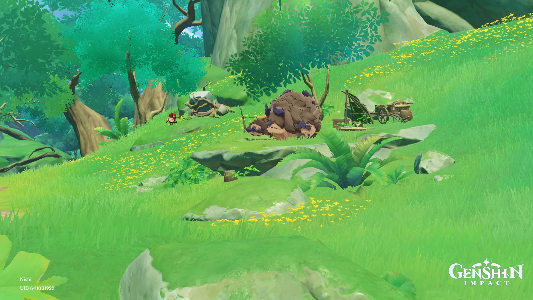 Sumeru's animals are amazing! Genshin Impact | HoYoLAB