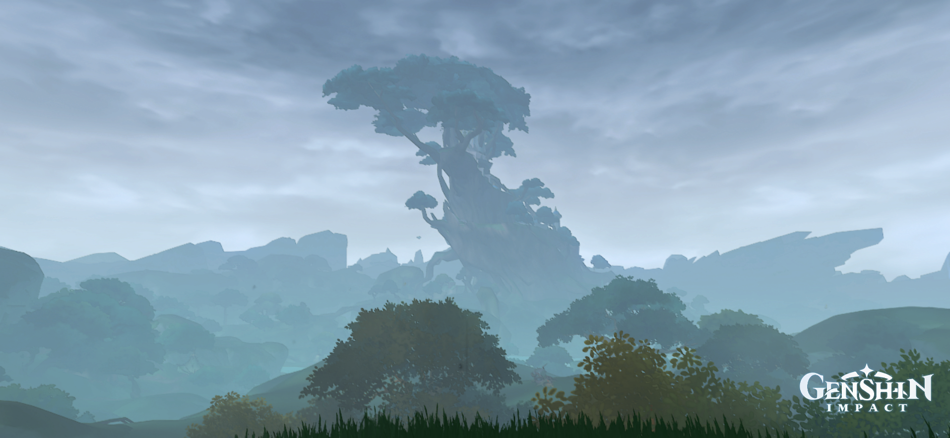 Rainforest in Sumeru. Genshin Impact | HoYoLAB