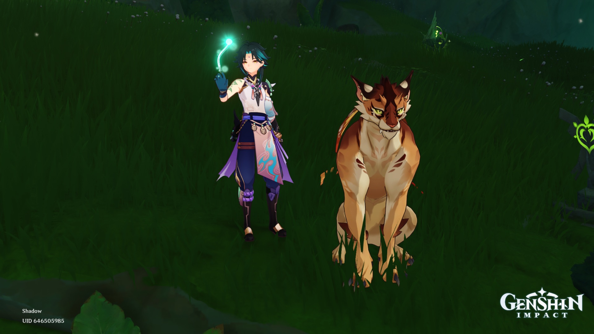 Sumeru Exploration - August 31st Genshin Impact | HoYoLAB