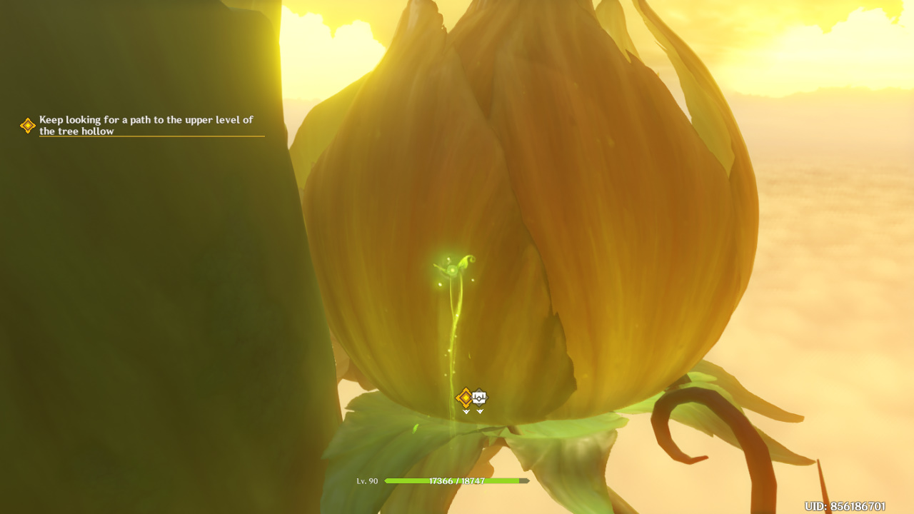 #Daily Life of a Forest Watcher Genshin Impact | HoYoLAB