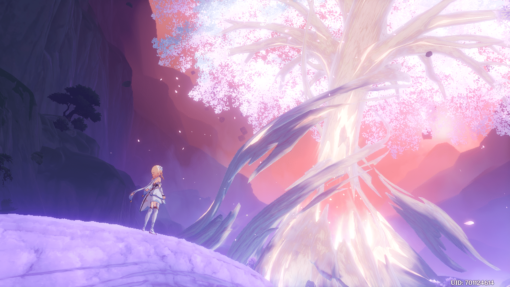 What a wonderful tree! Genshin Impact | HoYoLAB