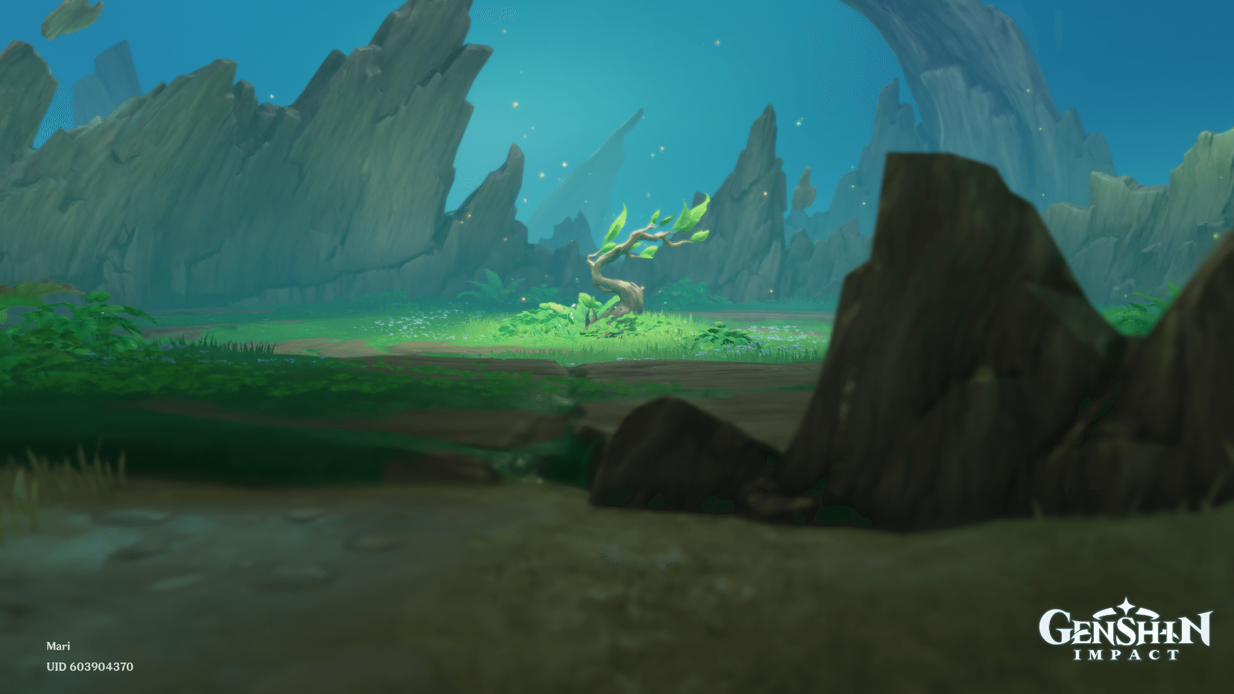 iI miss them already- Hopefully they'll become a big beautiful tree ...