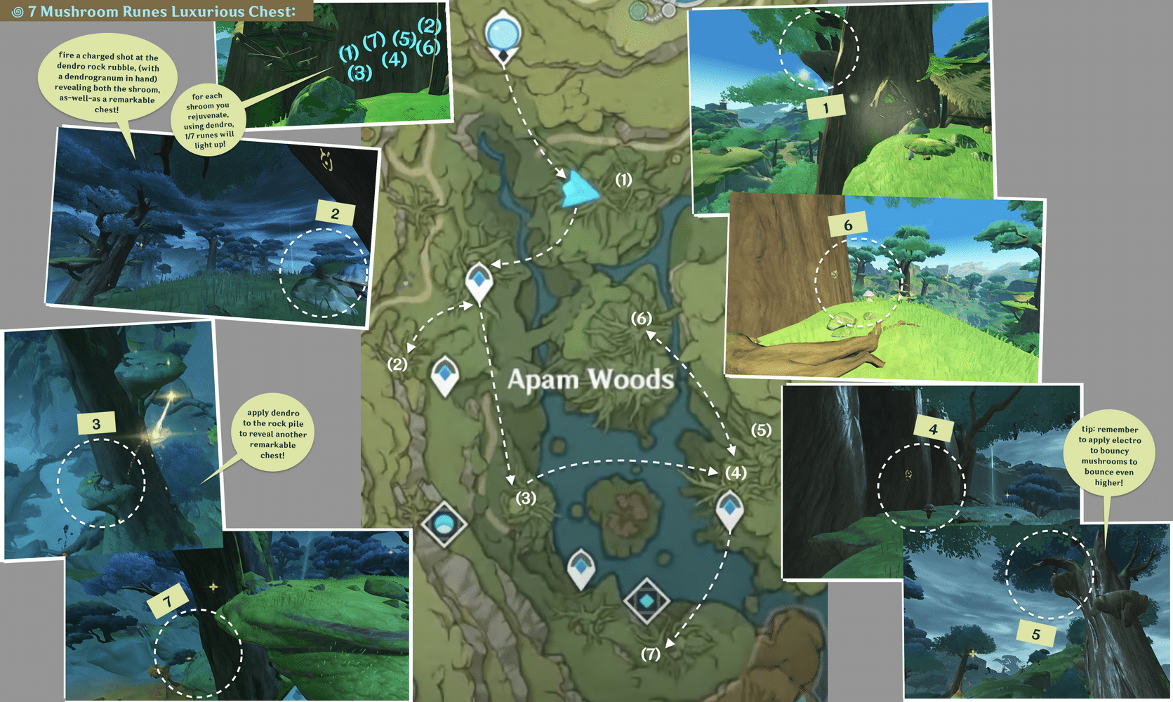 "Apam Woods" — 7 Mushroom Runes Luxurious Chest Genshin Impact | HoYoLAB