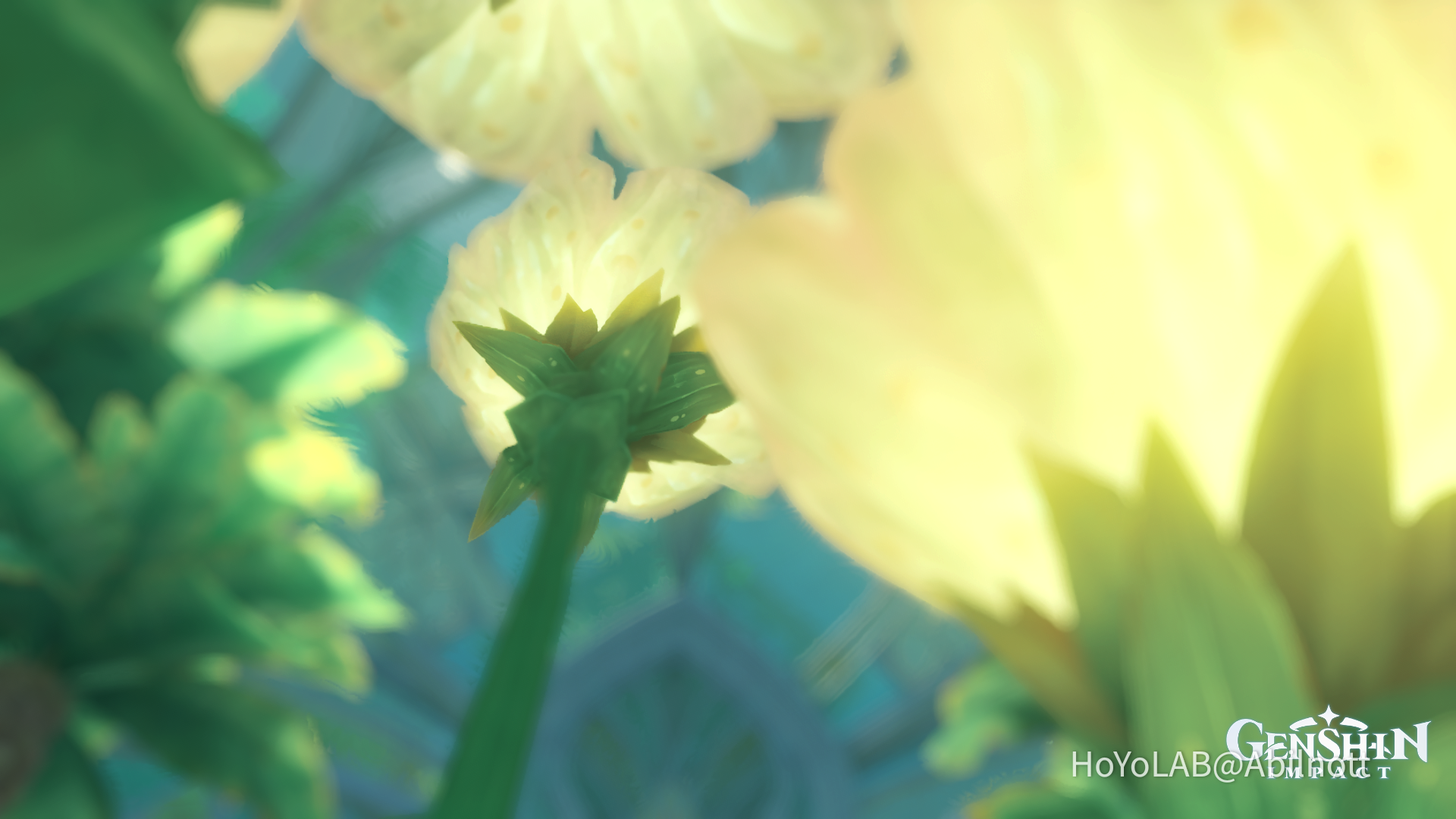 Sumeru flora Genshin Impact | HoYoLAB