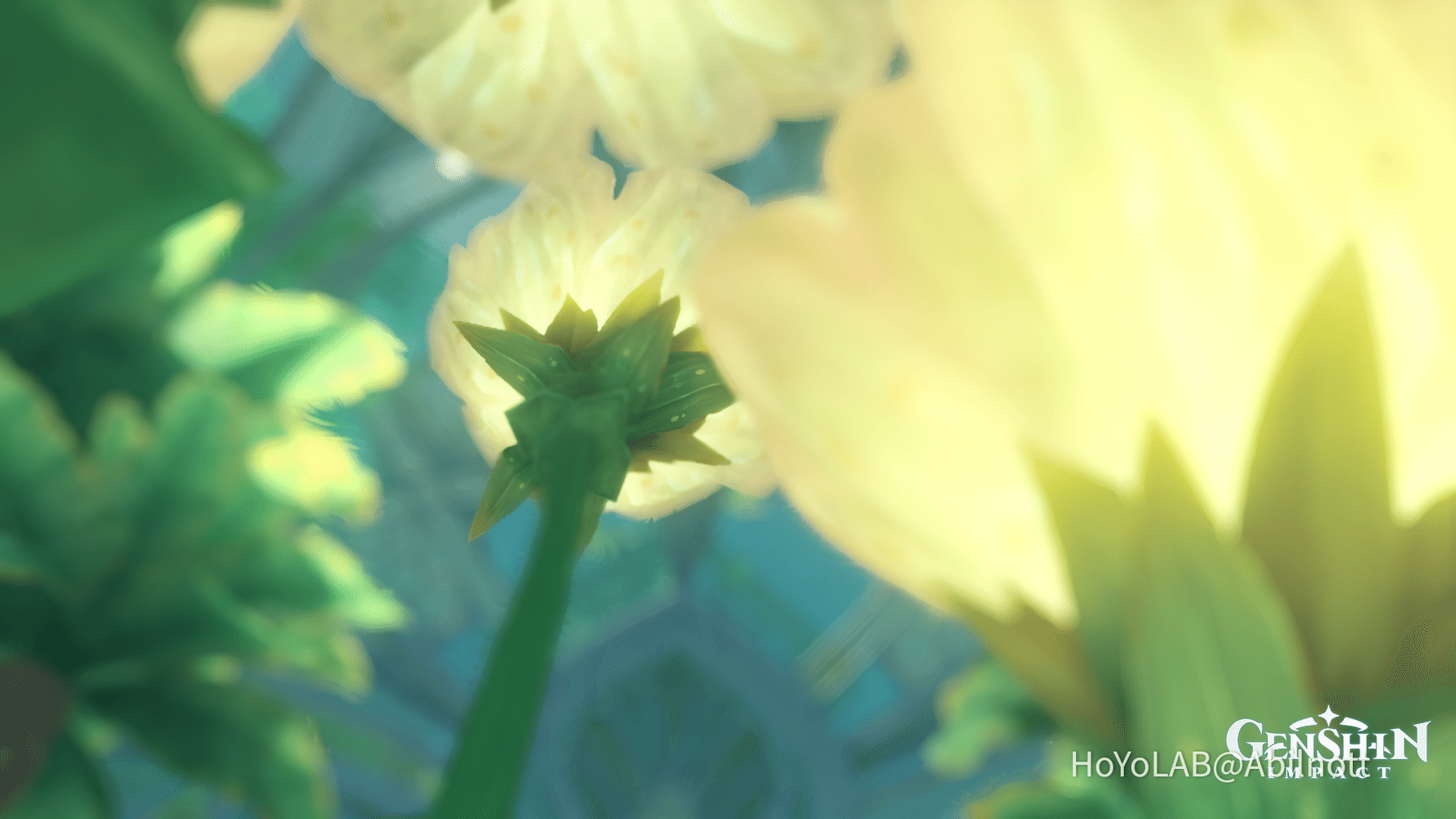 Sumeru flora Genshin Impact | HoYoLAB