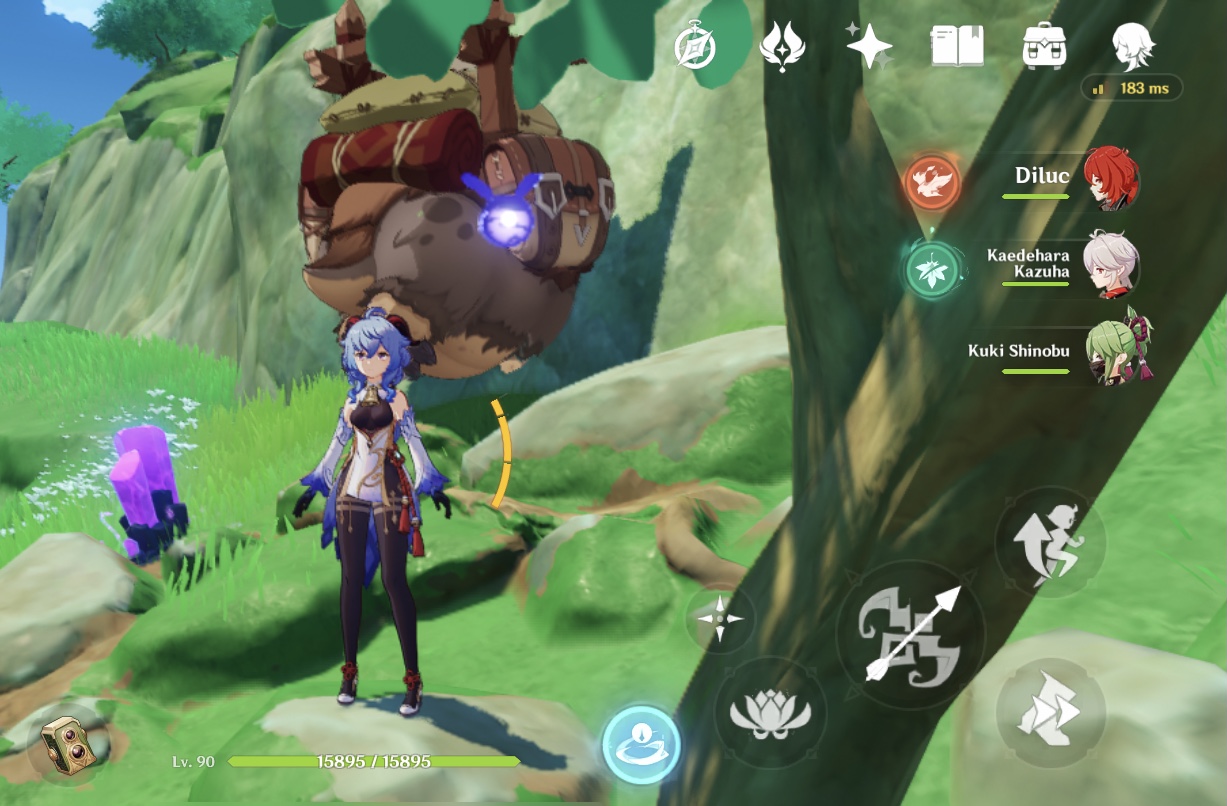 Sumeru animals are built different - 31 August Genshin Impact | HoYoLAB