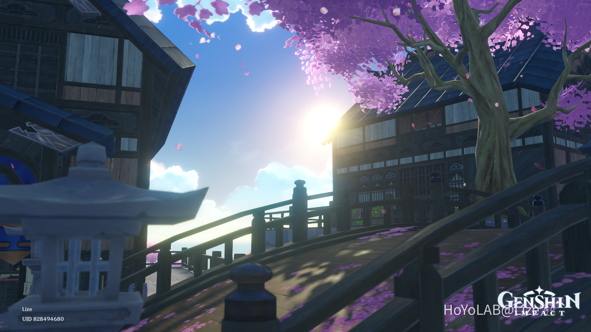 Inazuma彡☆ Genshin Impact | HoYoLAB