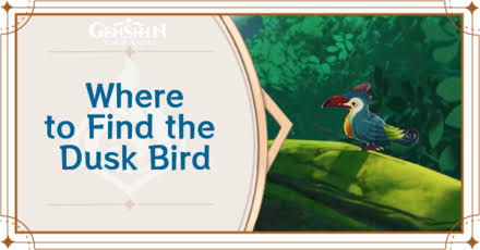 Quest Sumeru Genshin Impact | HoYoLAB