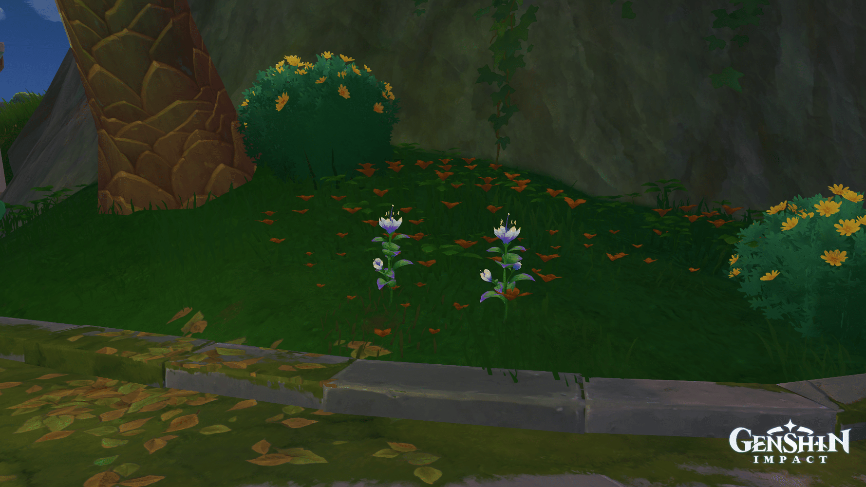 Sumeru's Special Creatures Genshin Impact | HoYoLAB