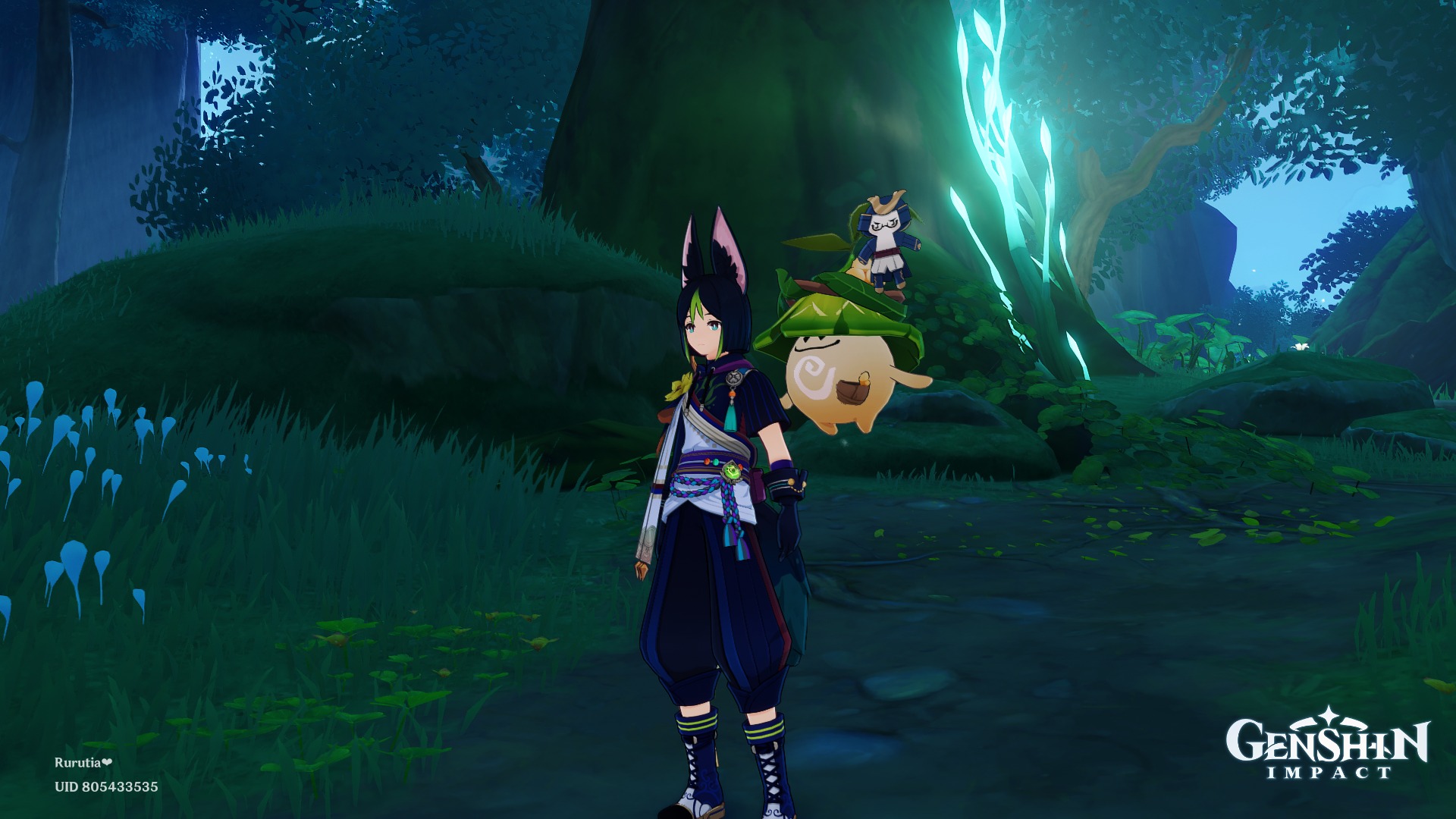 Pets Genshin Impact | HoYoLAB