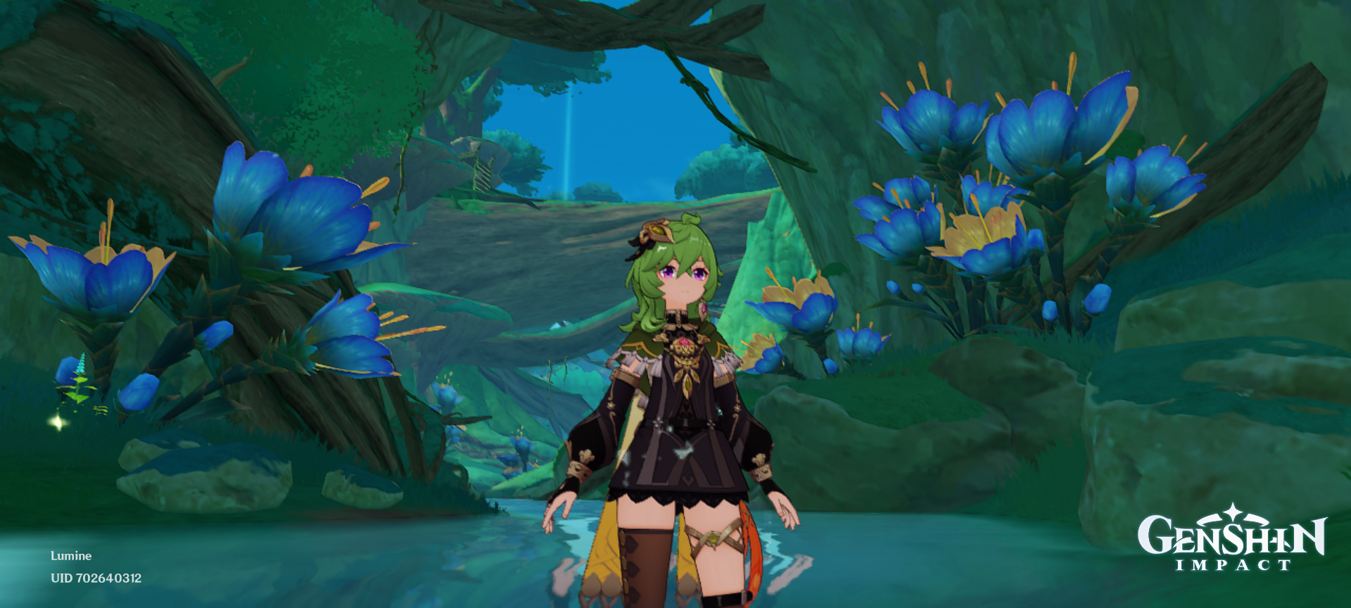 Adventure Sumeru Night Genshin Impact | HoYoLAB