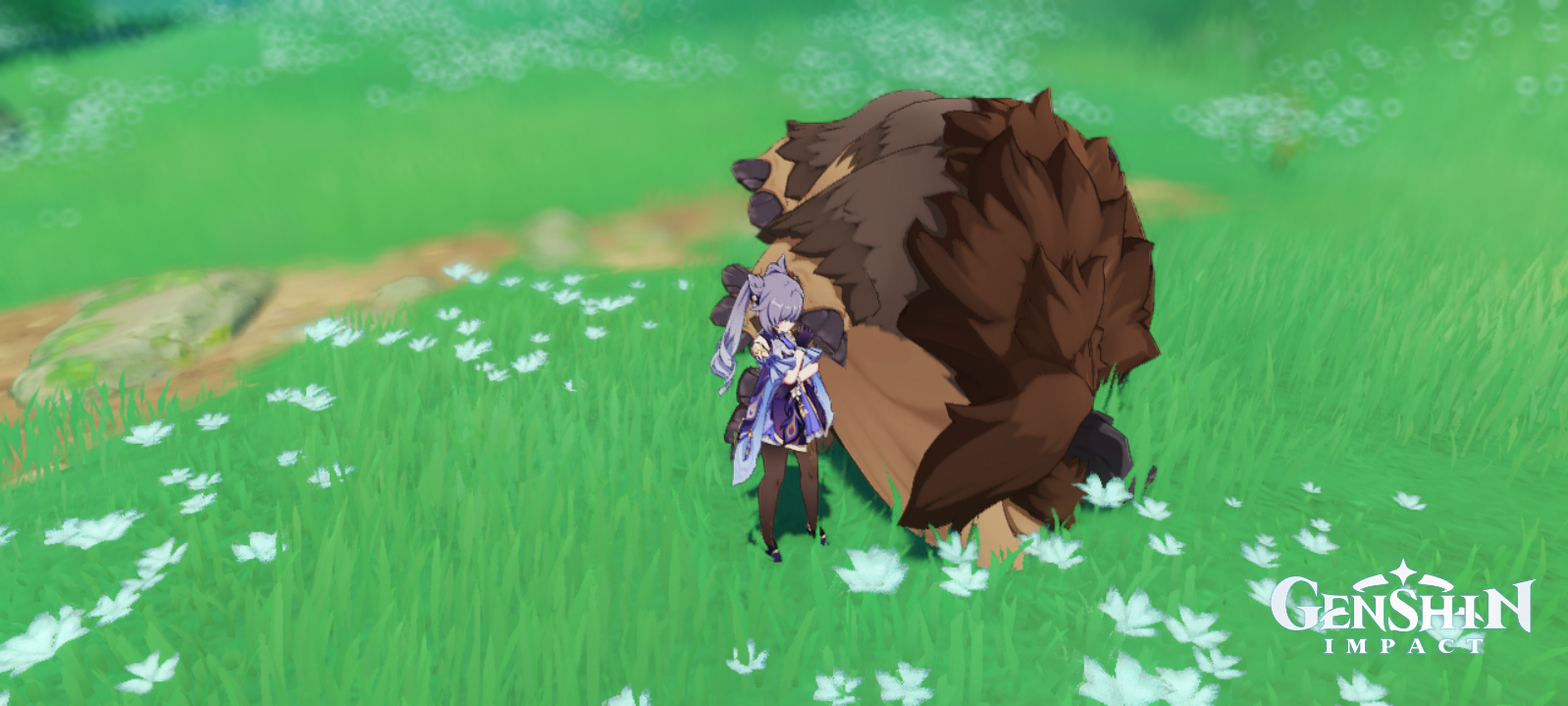 Cutest Sumeru Animal Genshin Impact | HoYoLAB