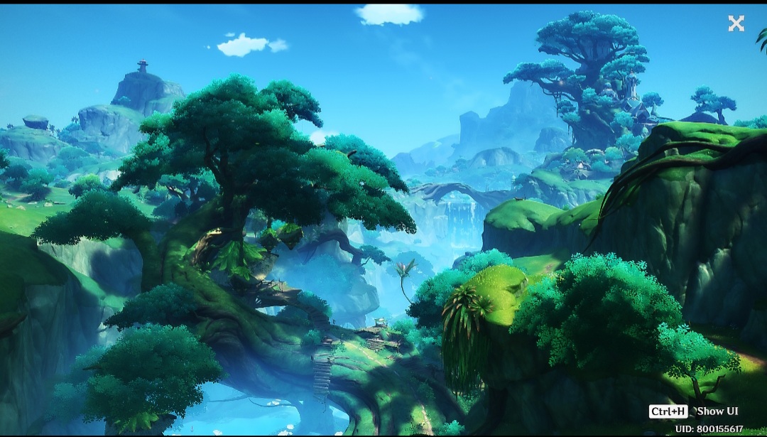 The beauty of sumeru Genshin Impact | HoYoLAB