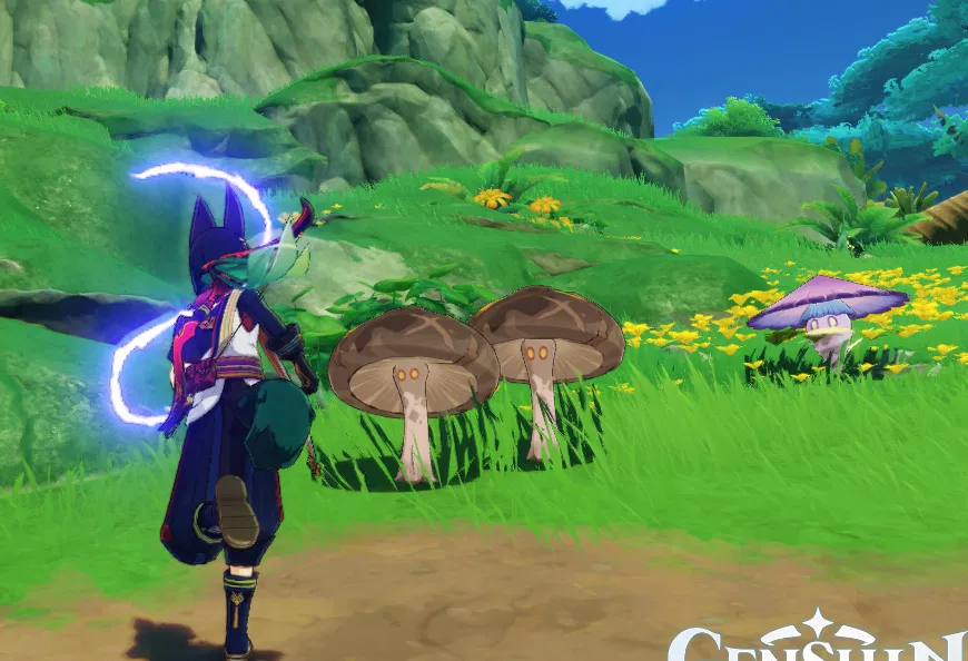 Sumeru enemies are so cuteee Genshin Impact | HoYoLAB